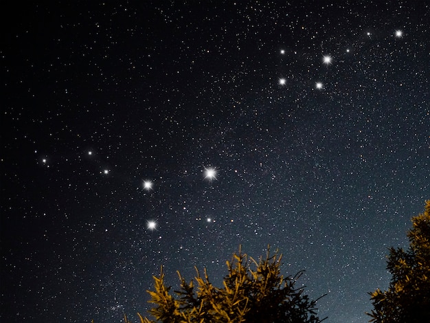 ¡Descubre las Estrellas de la Osa Mayor!